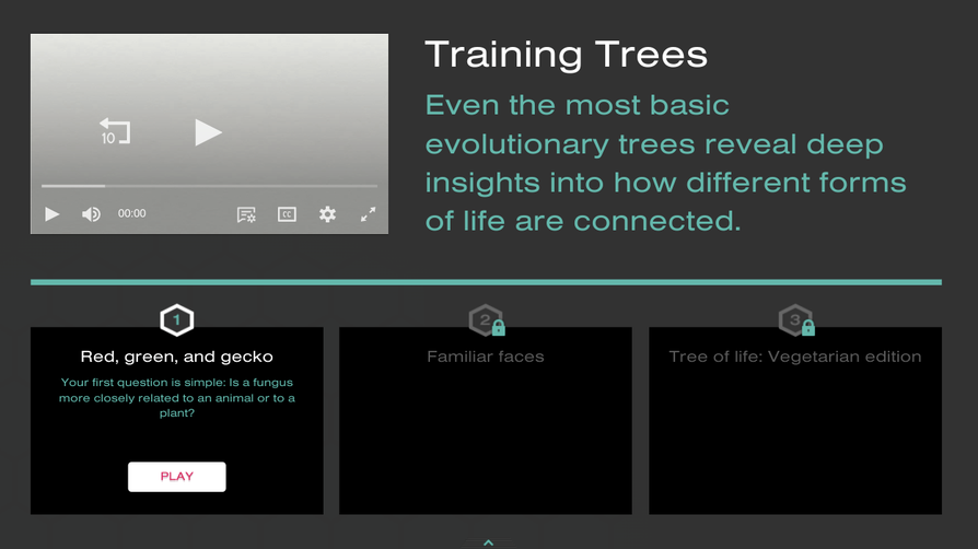 WATCH THE TRAINING TREES VIDEO FIRST!
